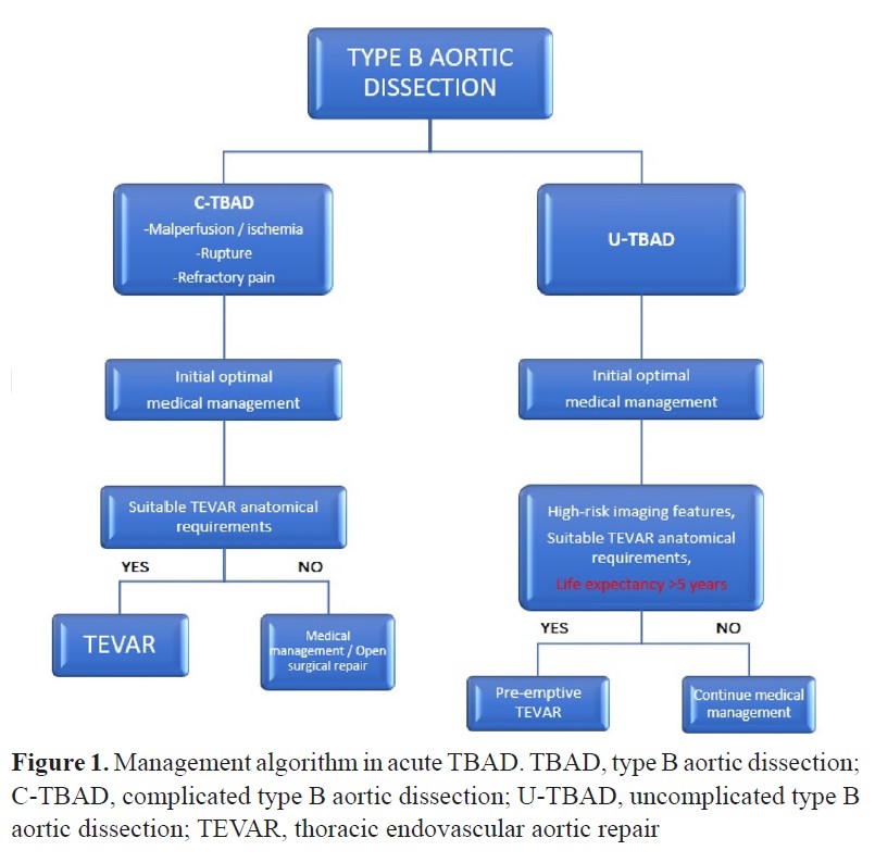 Early and mid-term results of endovascular repair for type B aortic ...